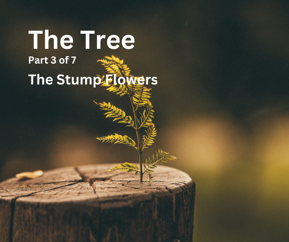 The Tree #3 – Metabolizing God's Word